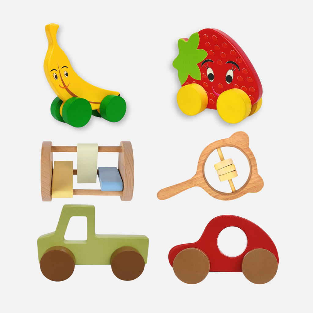 Wooden Fruit Car and Push-Pull Toy Gift Set – Erenjoy
